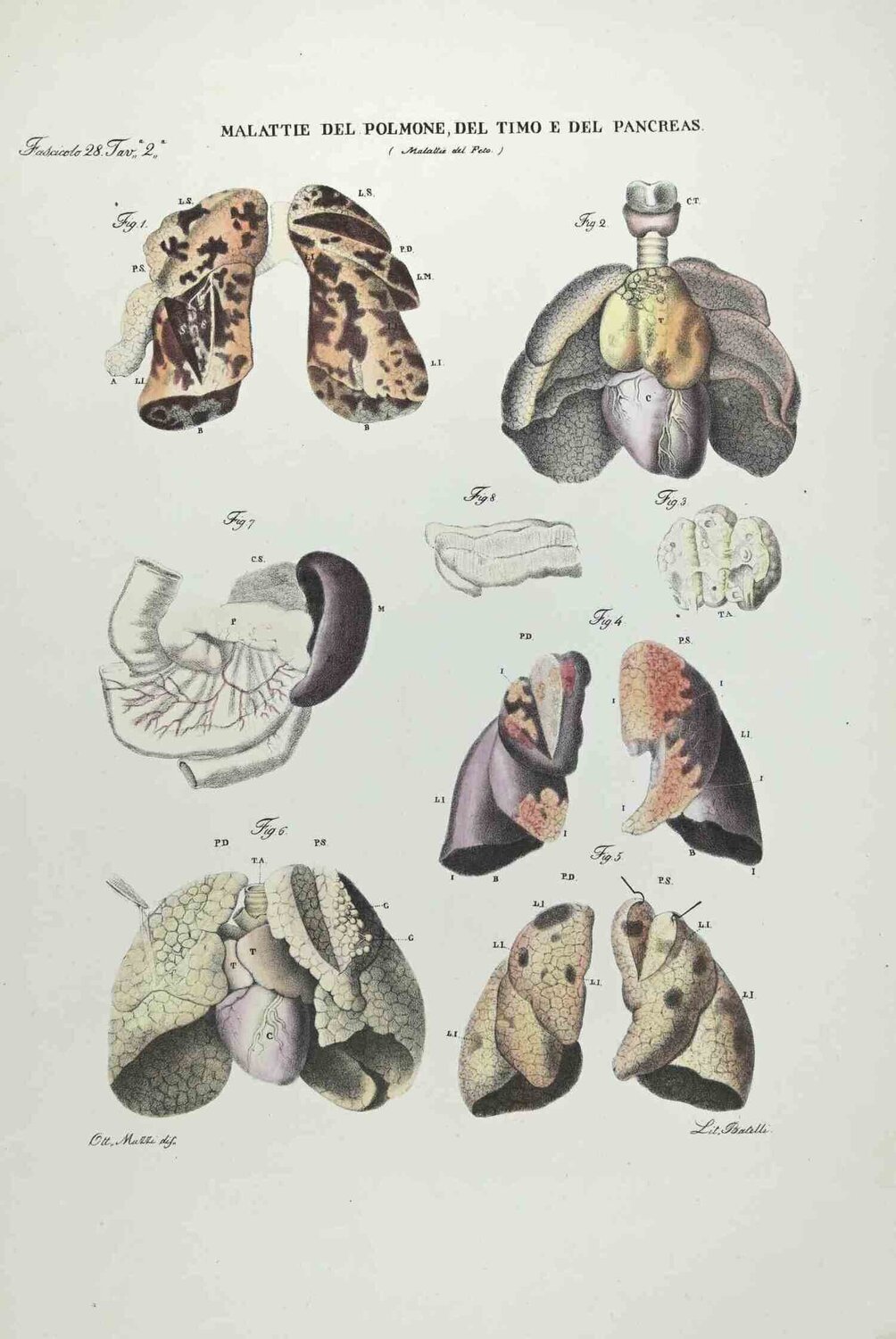 Acquista Le Opere Degli Artisti SINGULART Ispirati Da Hugo Pratt