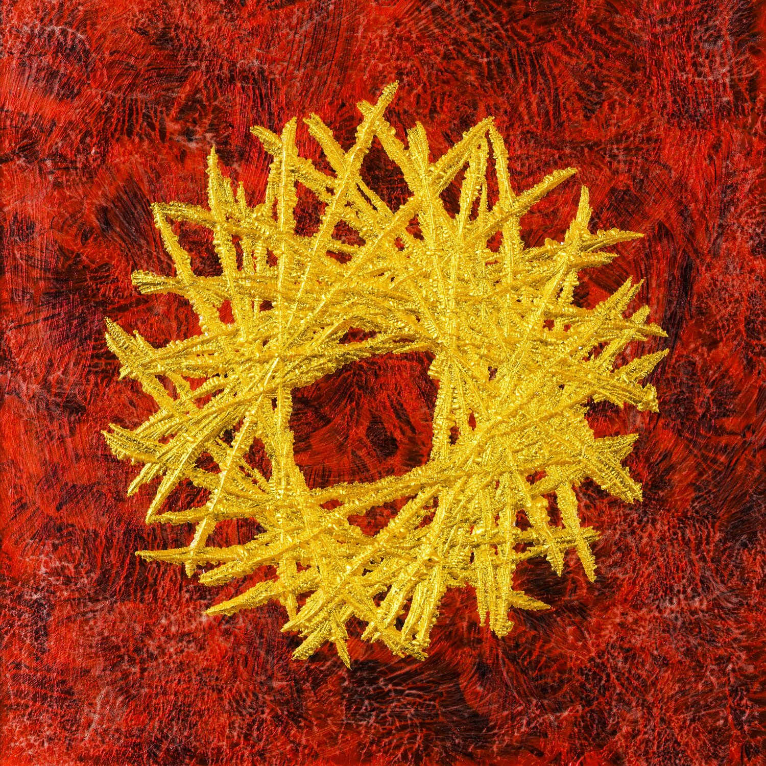 9930/111/440/DP by Volker W. Hamann (2024) : Photography Digital on ...