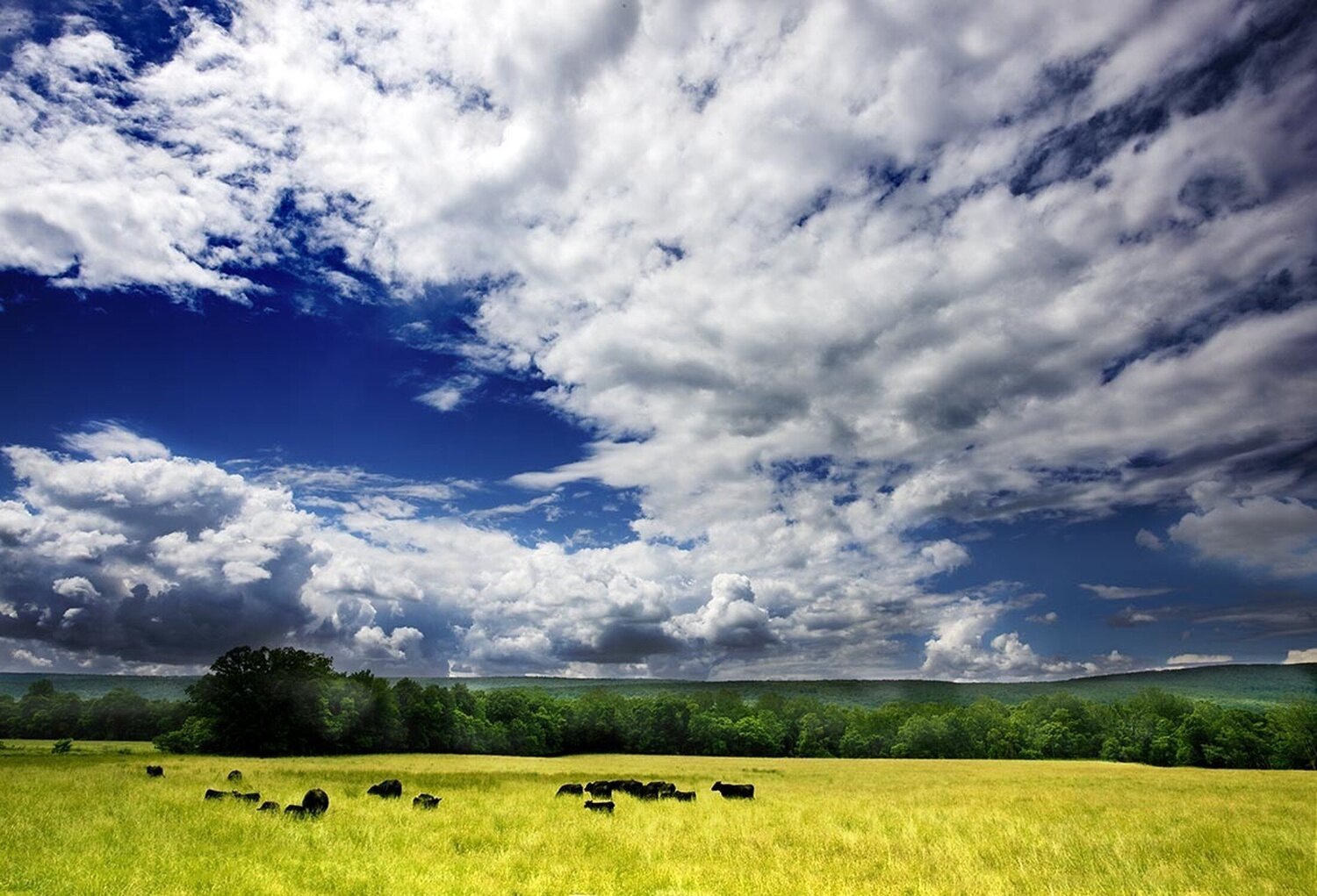 Mid Atlantic by David Glick (N.D) : Photography - Singulart