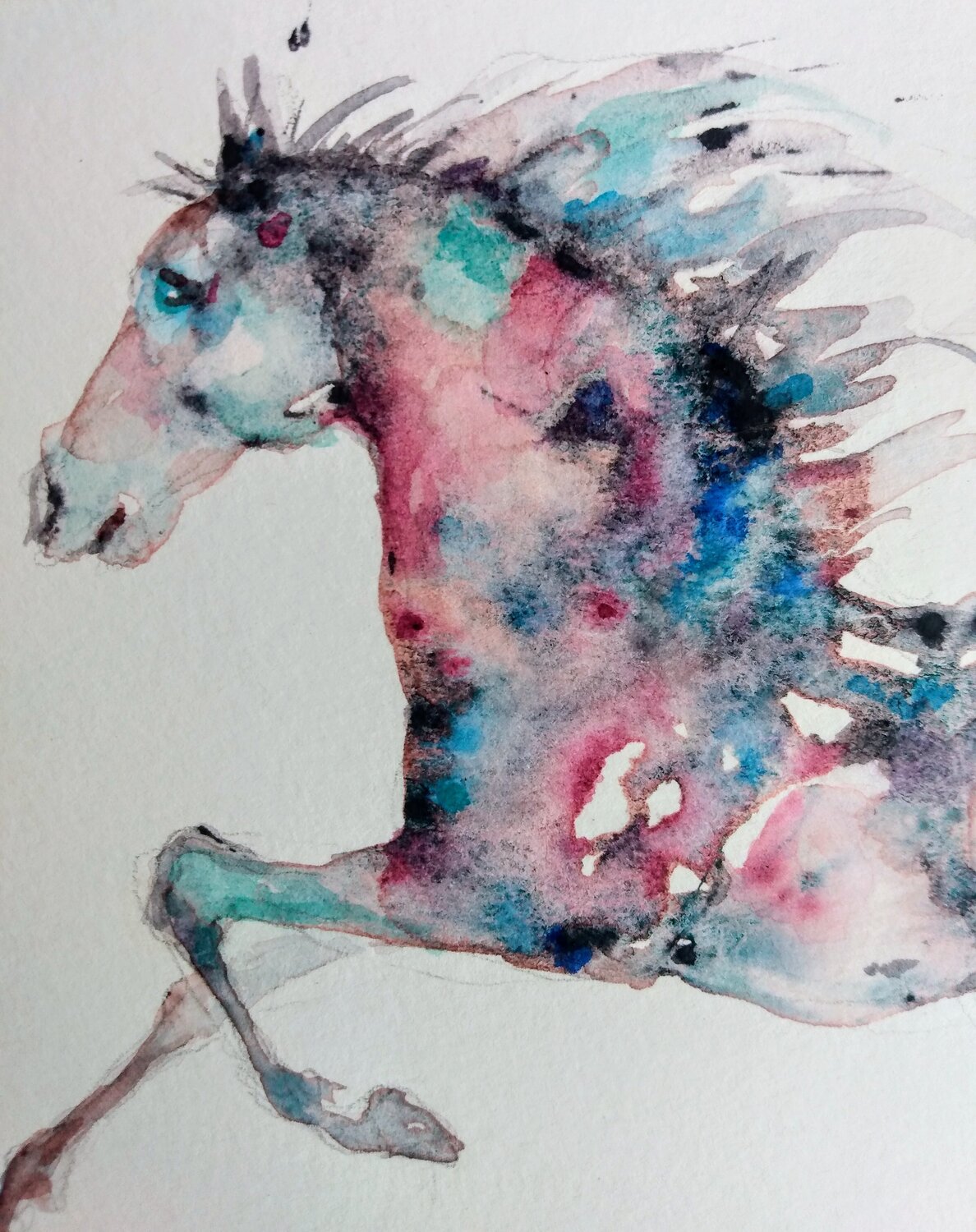Appaloosa Horse running by Daniela Vasileva (2022) : Work on Paper ...