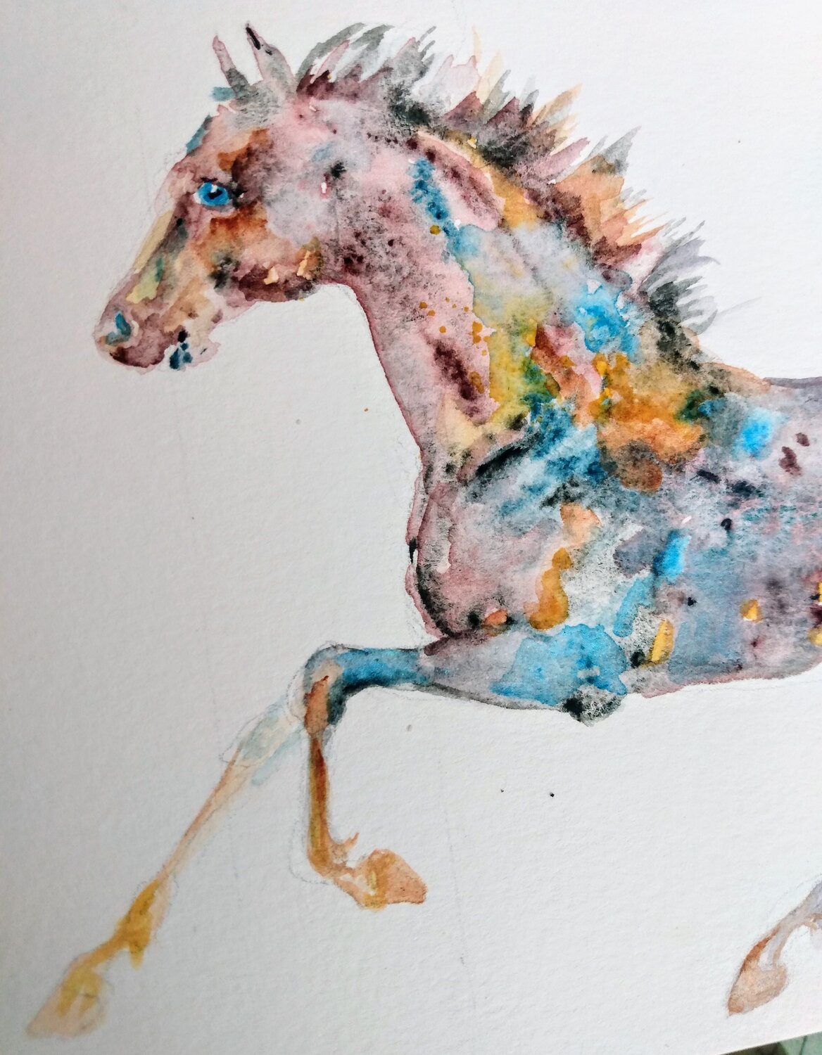 Appaloosa Horse running by Daniela Vasileva (2022) : Work on Paper ...