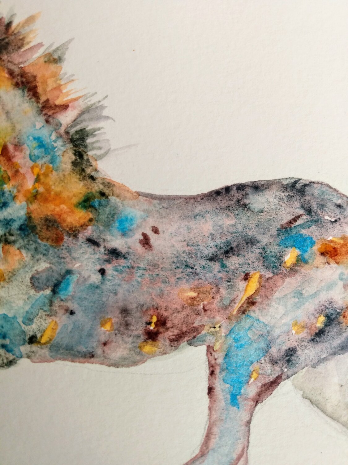 Appaloosa Horse running by Daniela Vasileva (2022) : Work on Paper ...