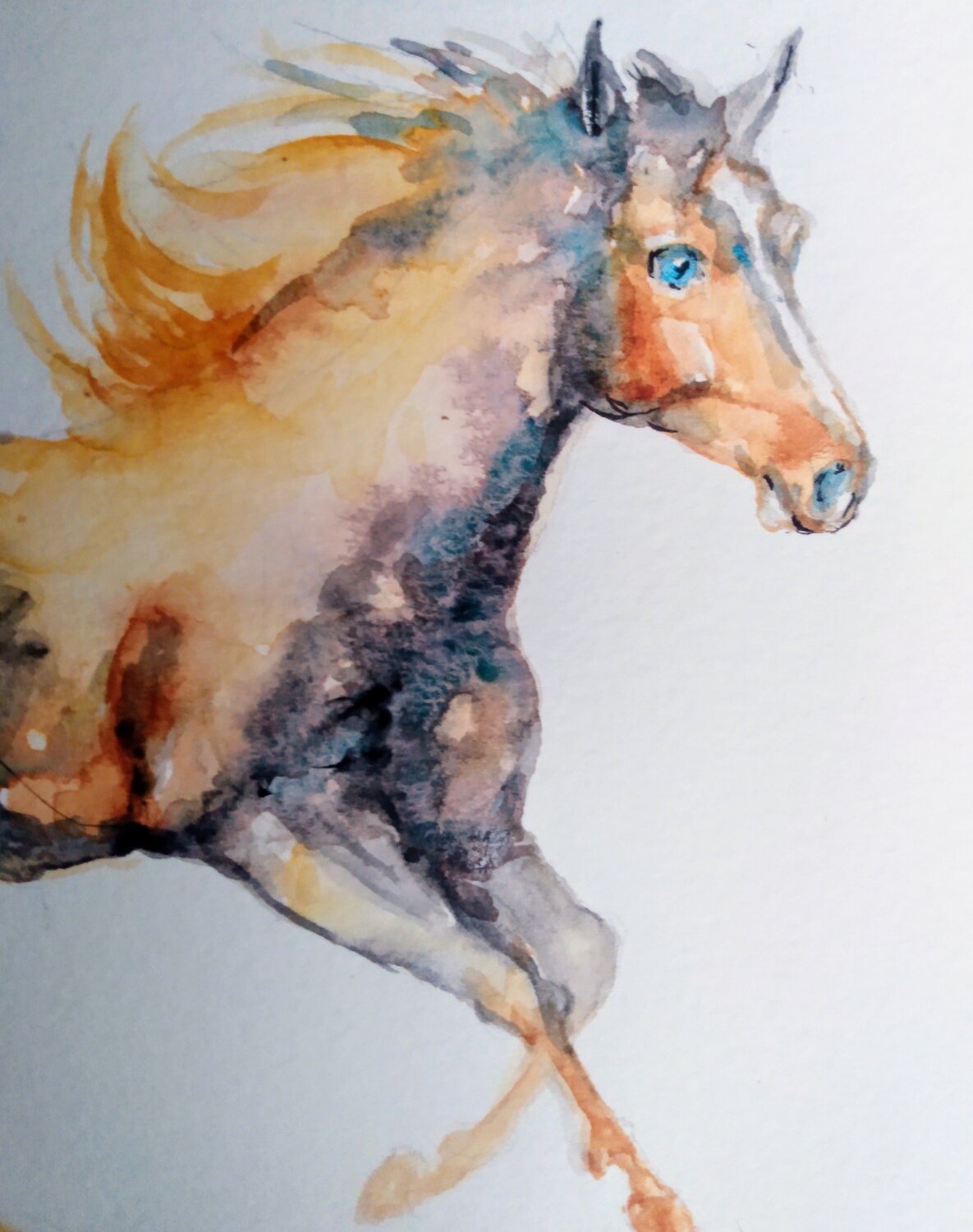 Golden Appaloosa Horse running by Daniela Vasileva (2022) : Work on ...