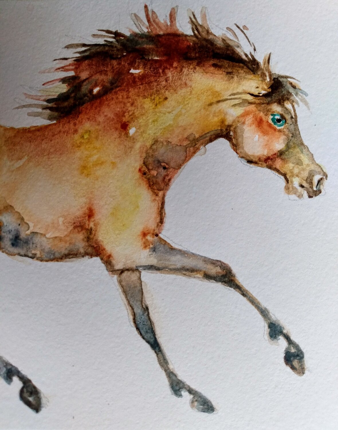 Golden Appaloosa Horse running by Daniela Vasileva (2022) : Work on ...