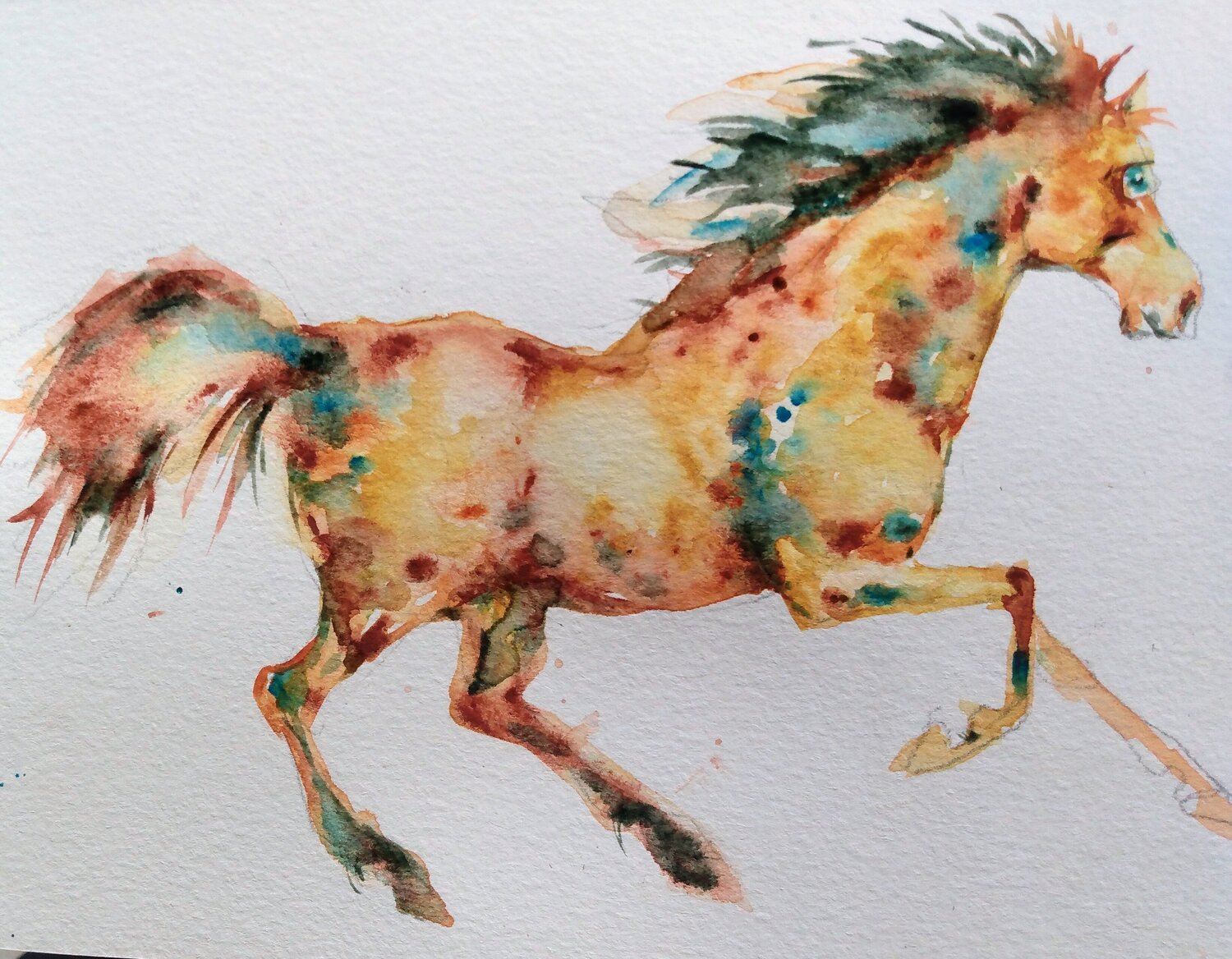 Golden Appaloosa Horse running by Daniela Vasileva (2022) : Work on ...