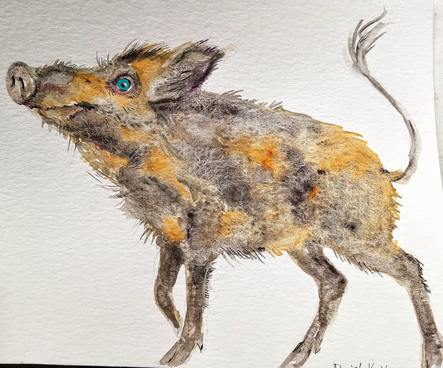 Wild boar pig art by Daniela Vasileva (2022) : Painting Watercolor on ...