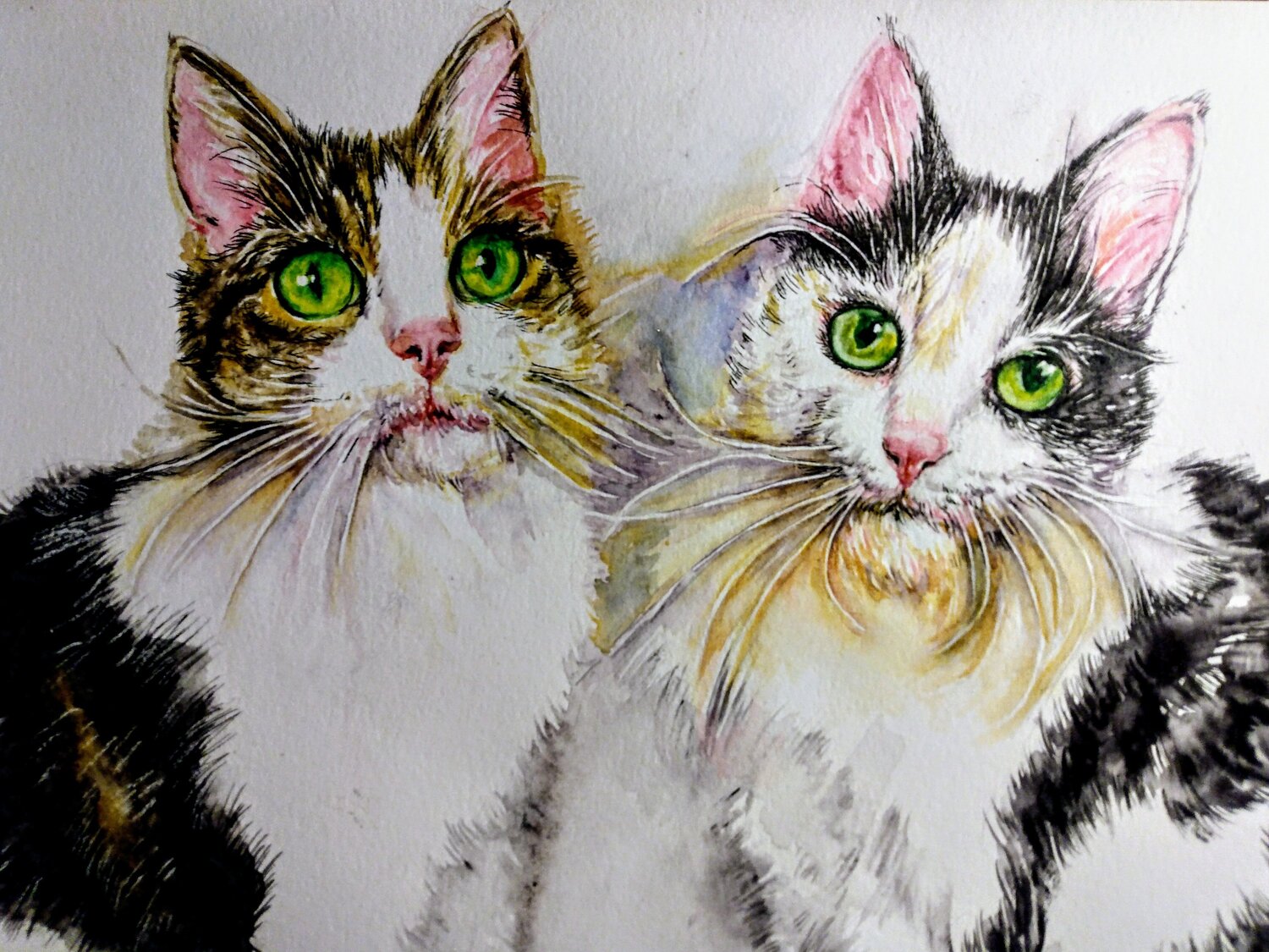 Two cats brothers by Daniela Vasileva (2022) : Painting Watercolor, Pen ...