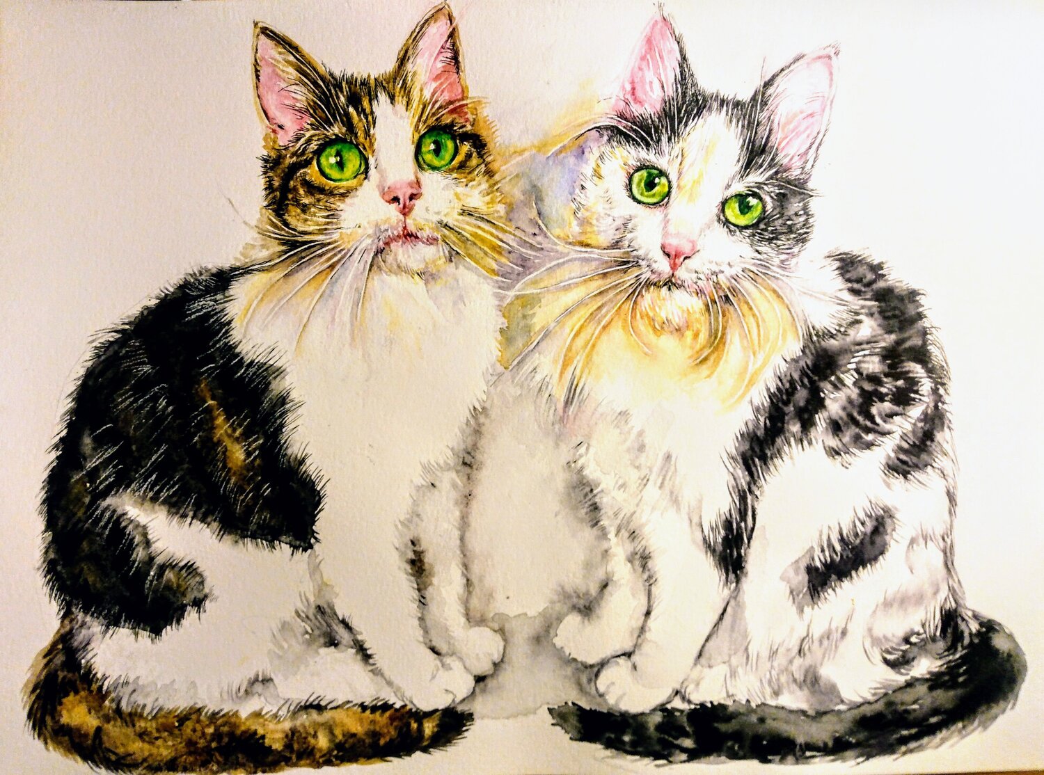 Two cats brothers by Daniela Vasileva (2022) : Painting Watercolor, Pen ...