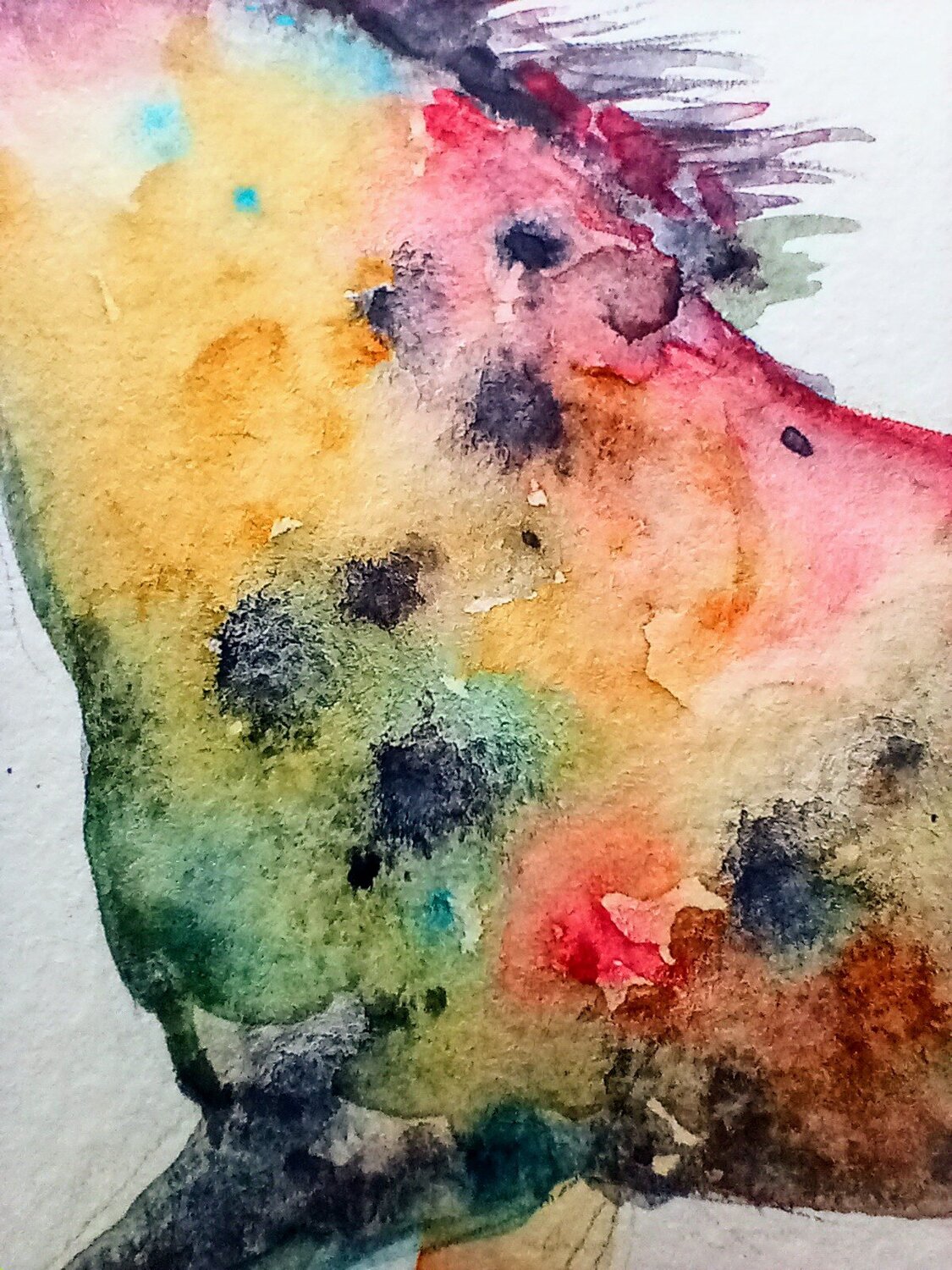 Colorful Appaloosa stallion by Daniela Vasileva (2023) : Painting ...