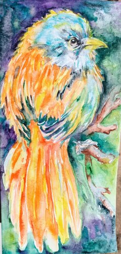 Wild boar pig art by Daniela Vasileva (2022) : Painting Watercolor on ...