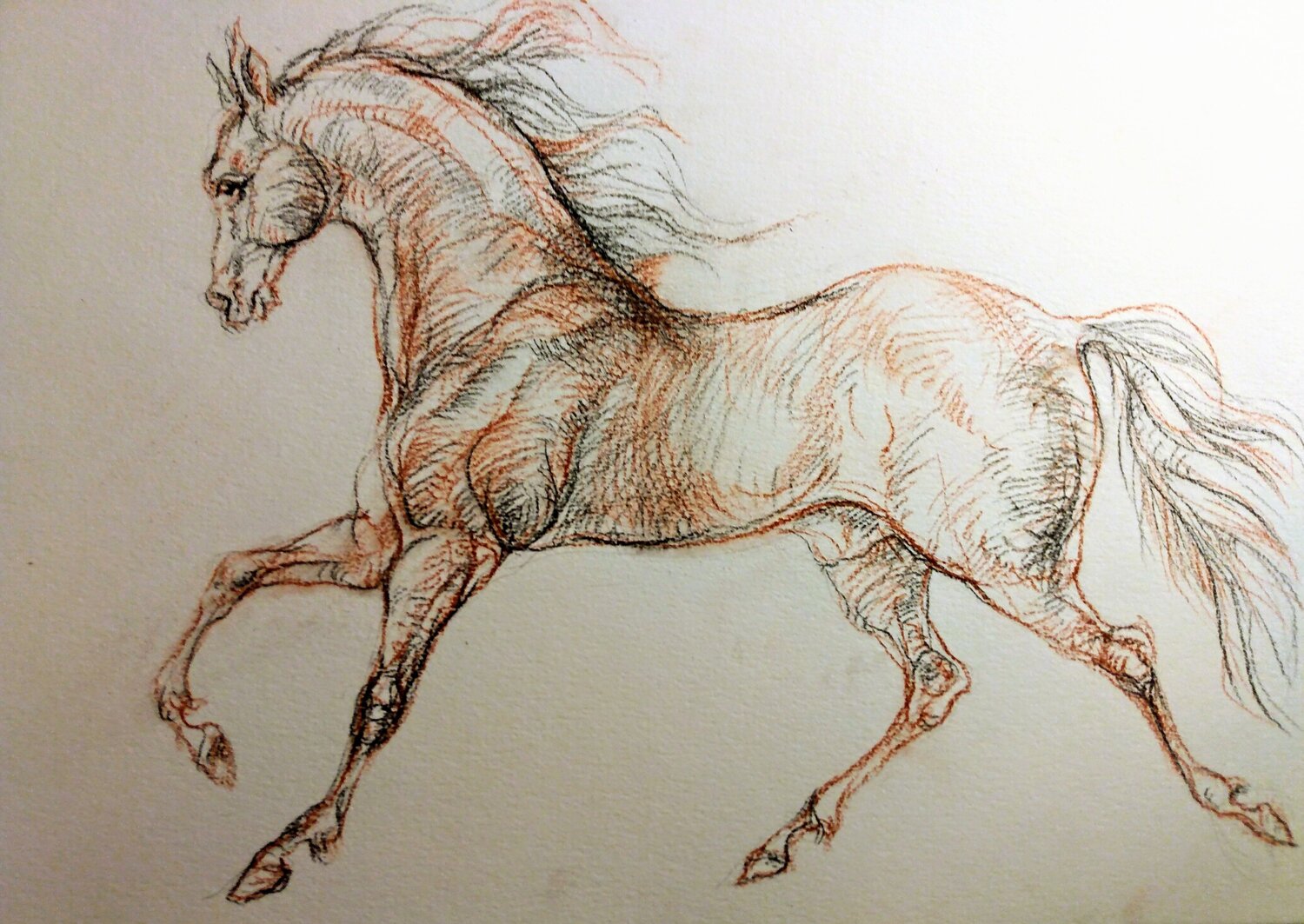 Horse drawing by Daniela Vasileva (2022) : Drawing Pencil, Charcoal on ...