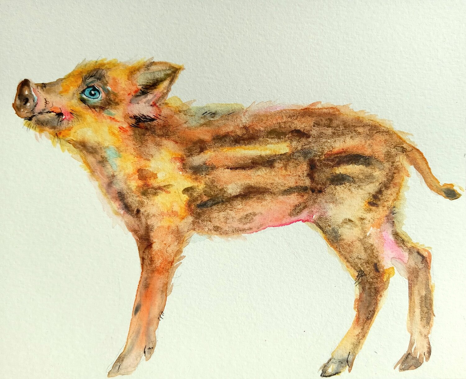Lucky piglet de Daniela Vasileva (2023) : Peinture Aquarelle sur Papier - Singulart