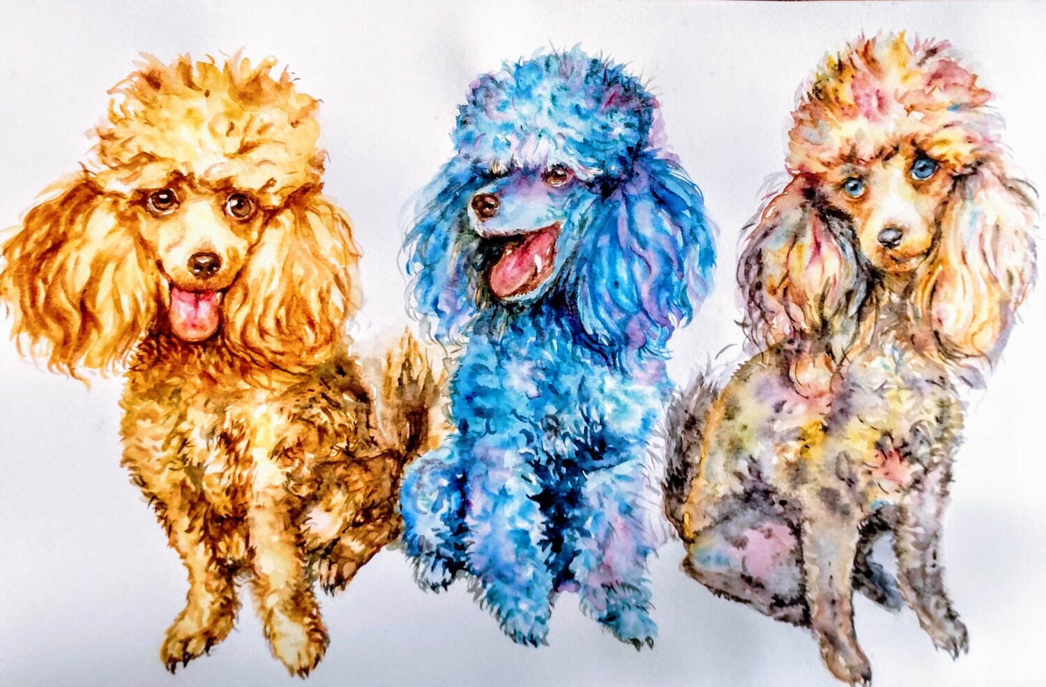 Golden, blue and pink toy poodles de Daniela Vasileva (2024) : Peinture ...