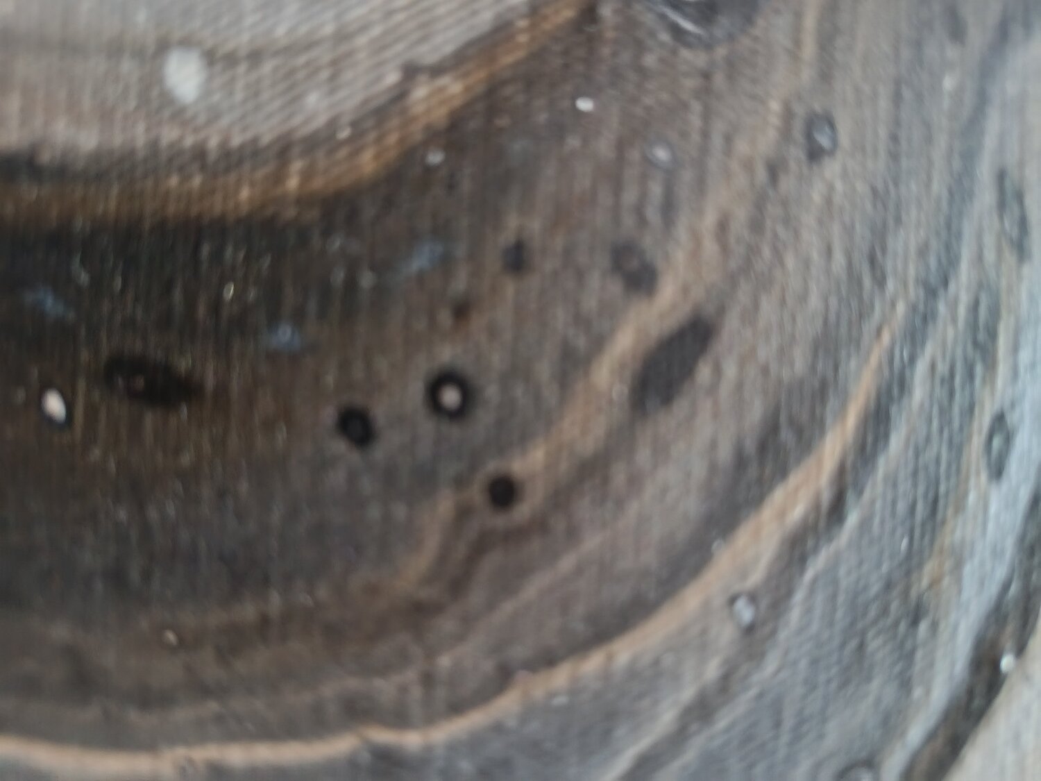 Auric Flow by Vera Göpfert (2020) : Painting Acrylic on Canvas - Singulart