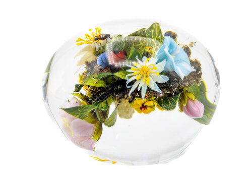 Paul Stankard Signed Round Handblown Glass Botanical Paperweight with ...