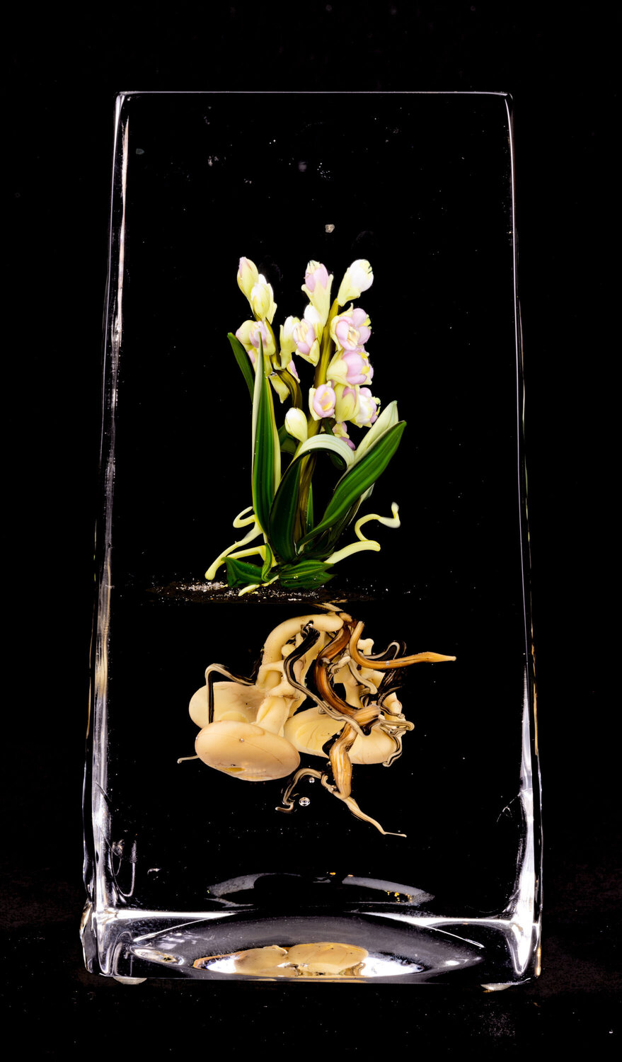 Paul Stankard Signed Hand Blown Glass Paperweight Sculpture Root People ...