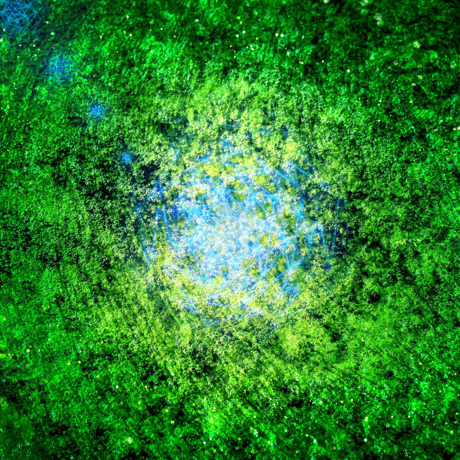 Algae Biofuel Development by Art Bonanno (N.D) : Photography Hybrid ...