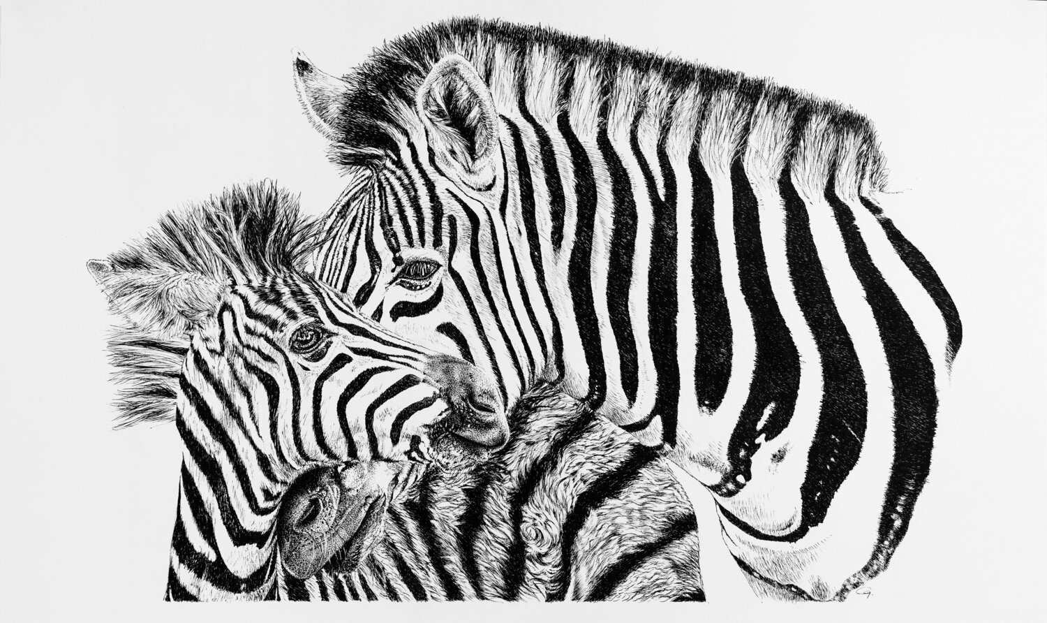 Tendresse by Catherine Guinot (2021) : Drawing India Ink on Paper ...