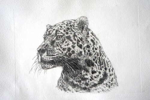 Jaguar de Magnus Lindblom (2024): Impresión Grabado en Papel - Singulart