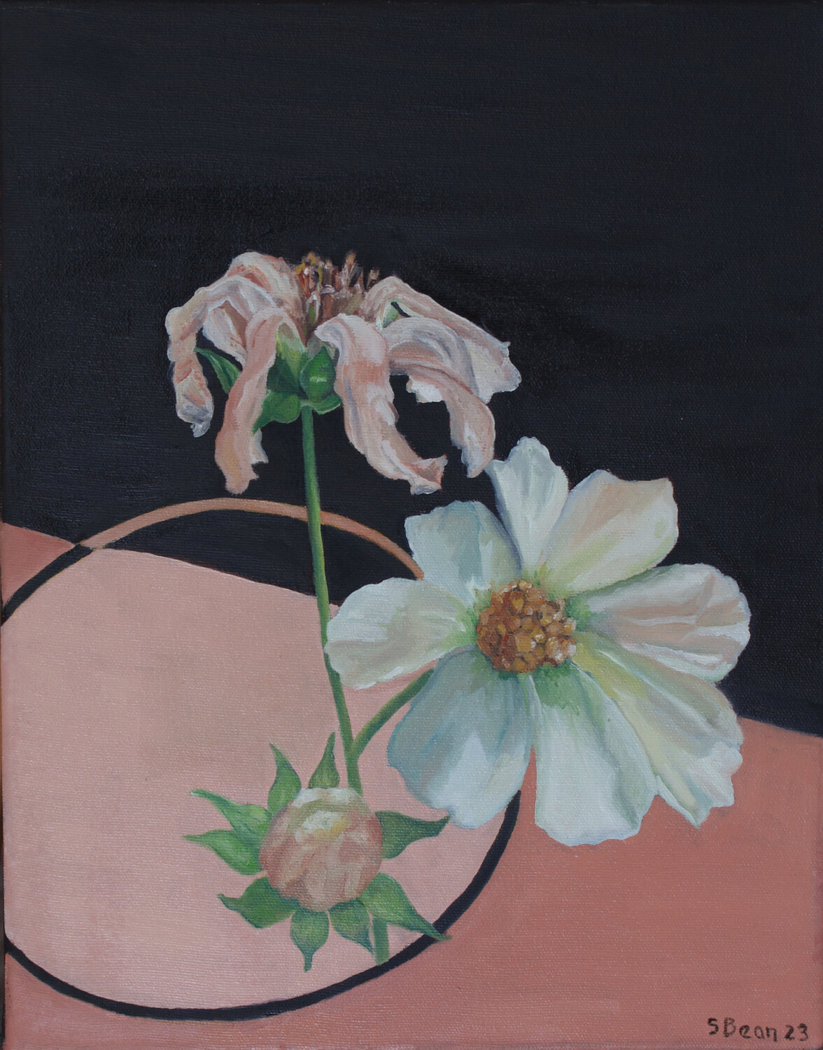 The Circle of Life by Suzanne Bean (2023) : Painting Oil on Canvas ...