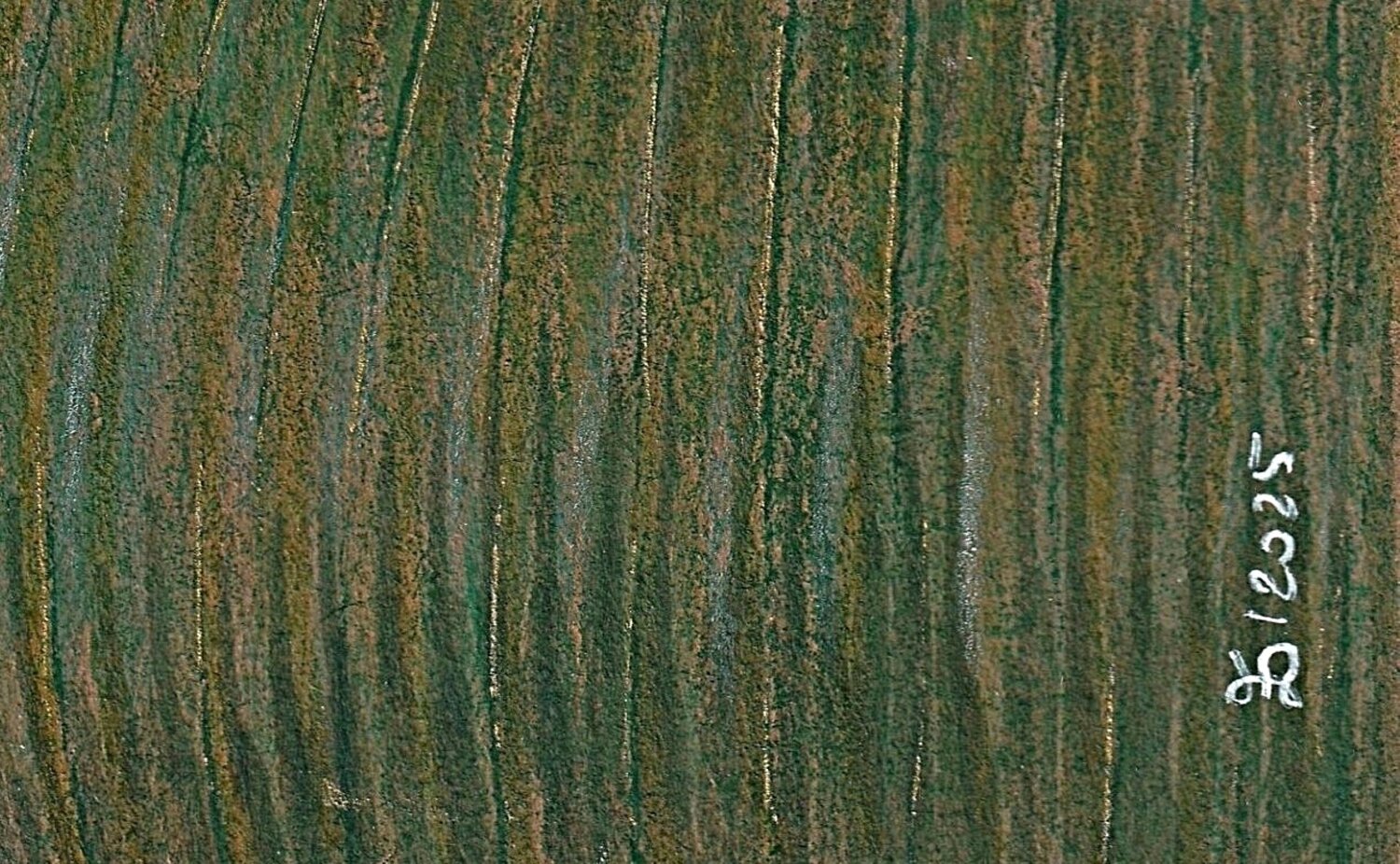 Thumbelina. Solace. by Ewa Dura (2025) : Drawing Pen, Felt on Paper ...