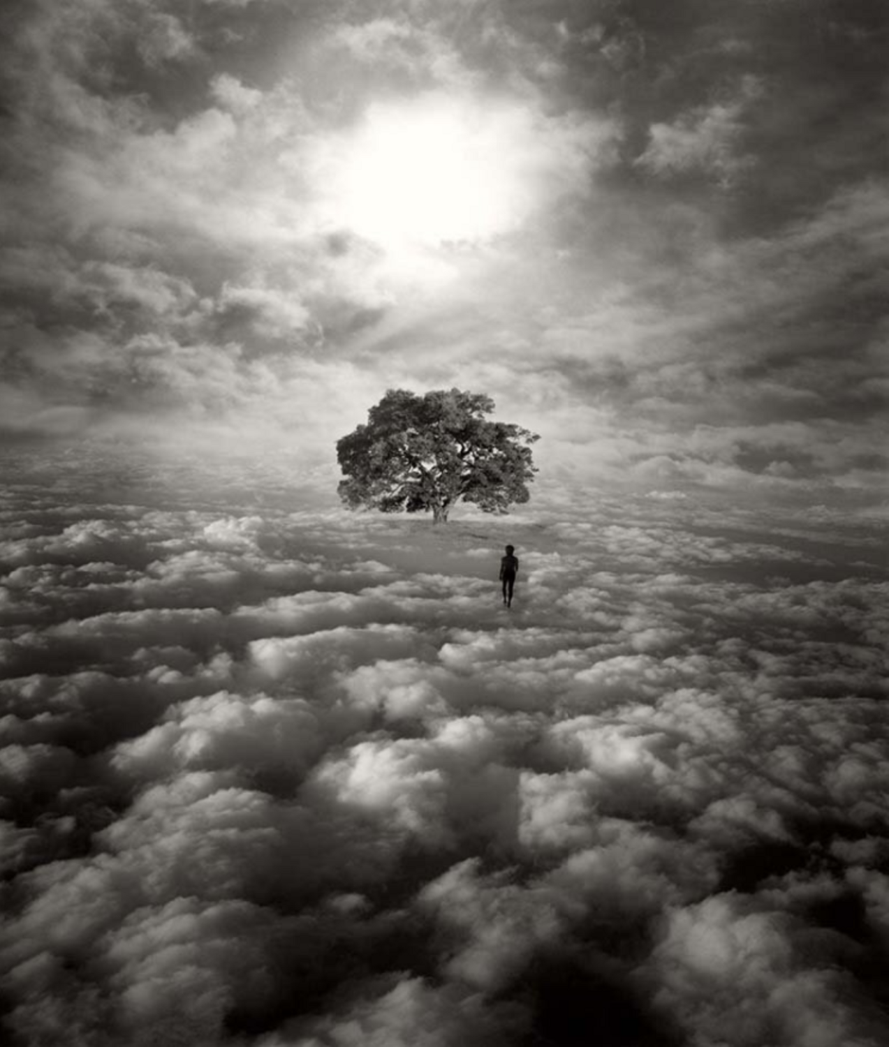 The Alpha Tree by Jerry Uelsmann (2002) : Photography Analogue on Paper ...