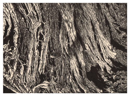 Tormentas n°1 de Sylvain Baudouin (2014) : Œuvre sur papier Stylo ...