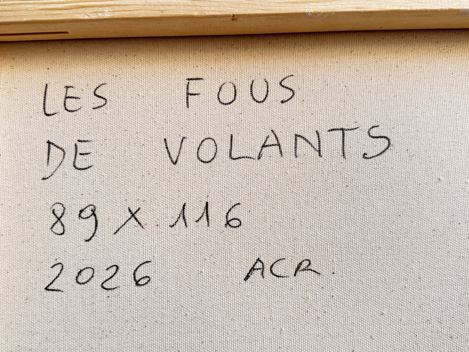 Les fous de volants by Daniel PAUGAM (2026) : Painting Acrylic on ...