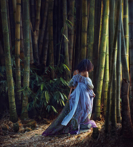 BAMBOO by Irina Dzhul (2017) : Photography Digital on Paper - Singulart