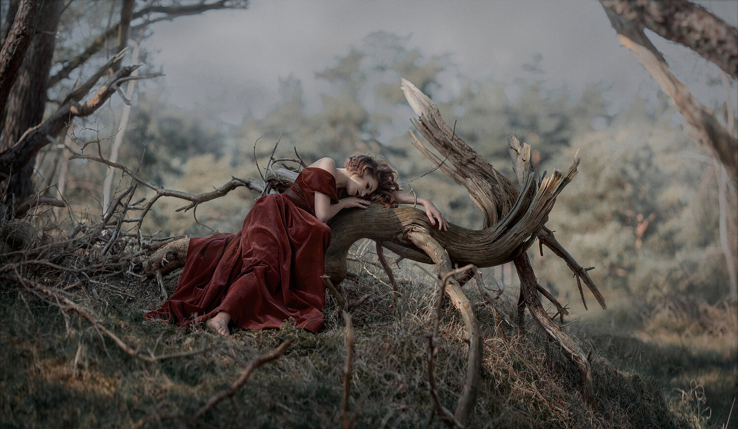 OLD SOUL by Irina Dzhul (2018) : Photography Digital on Paper - Singulart