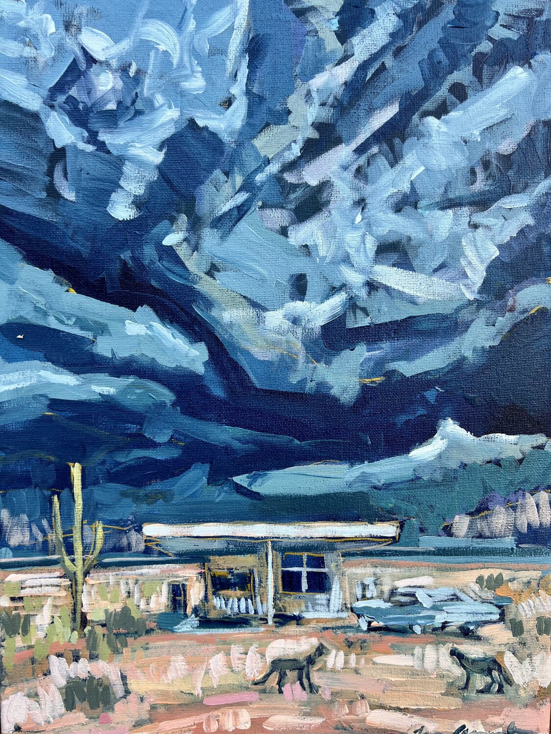 Bajo el cielo del desierto ISABEL ARANEDA