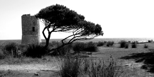 Solingo by Annett Siviglia-Mann (2021) : Photography Digital on Paper ...