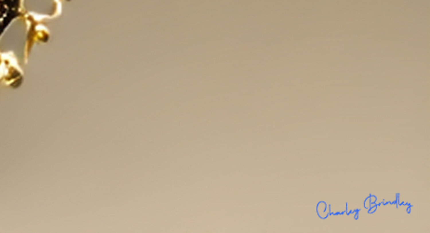 Princess Amina Zendaya, daughter of Sunni Ali, ruler of the Songhai ...