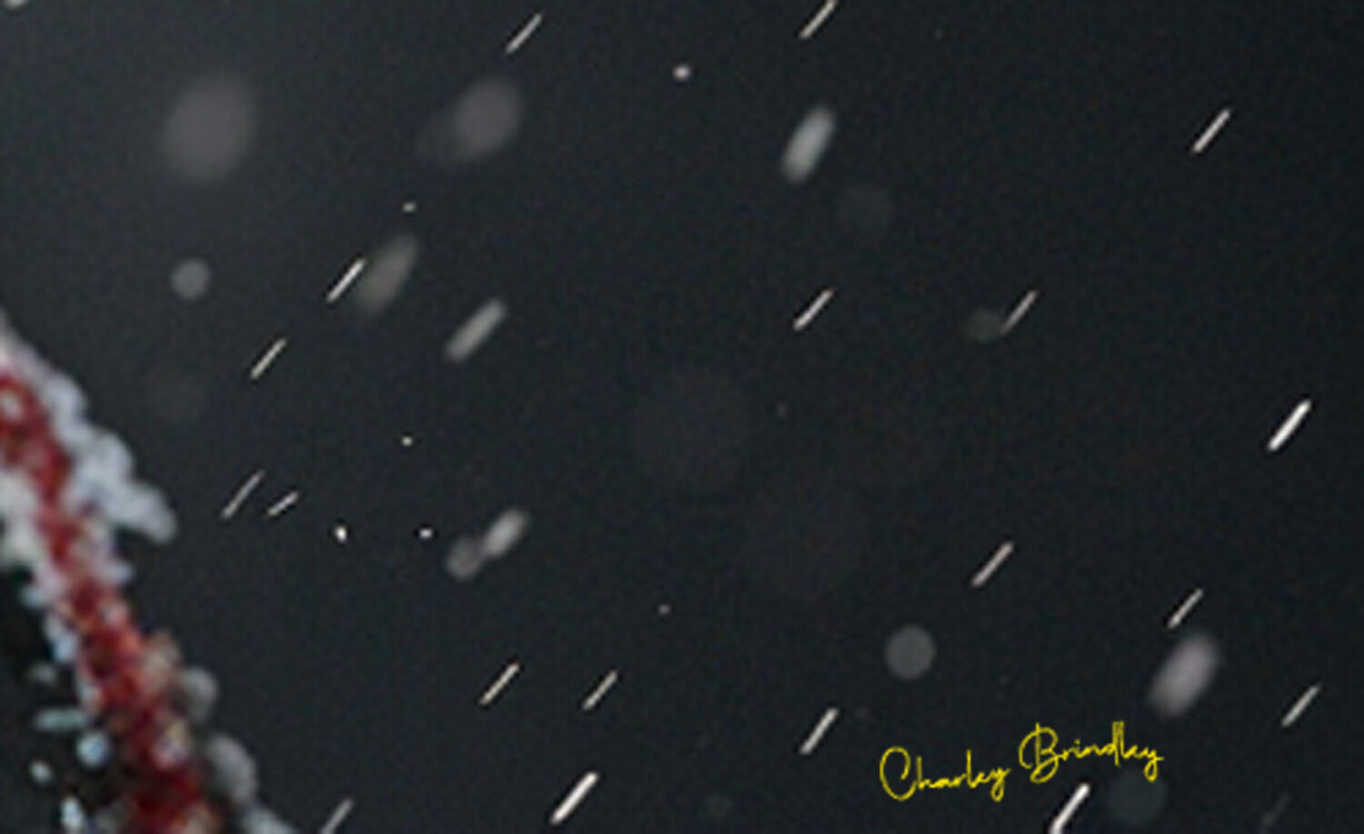 Captain Liang Zhenhai of the Chinese People’s Liberation Army Navy ...