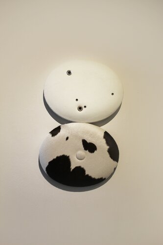 Small Norma by Constance Lowe (1999) : Other Media Vinyl - Singulart