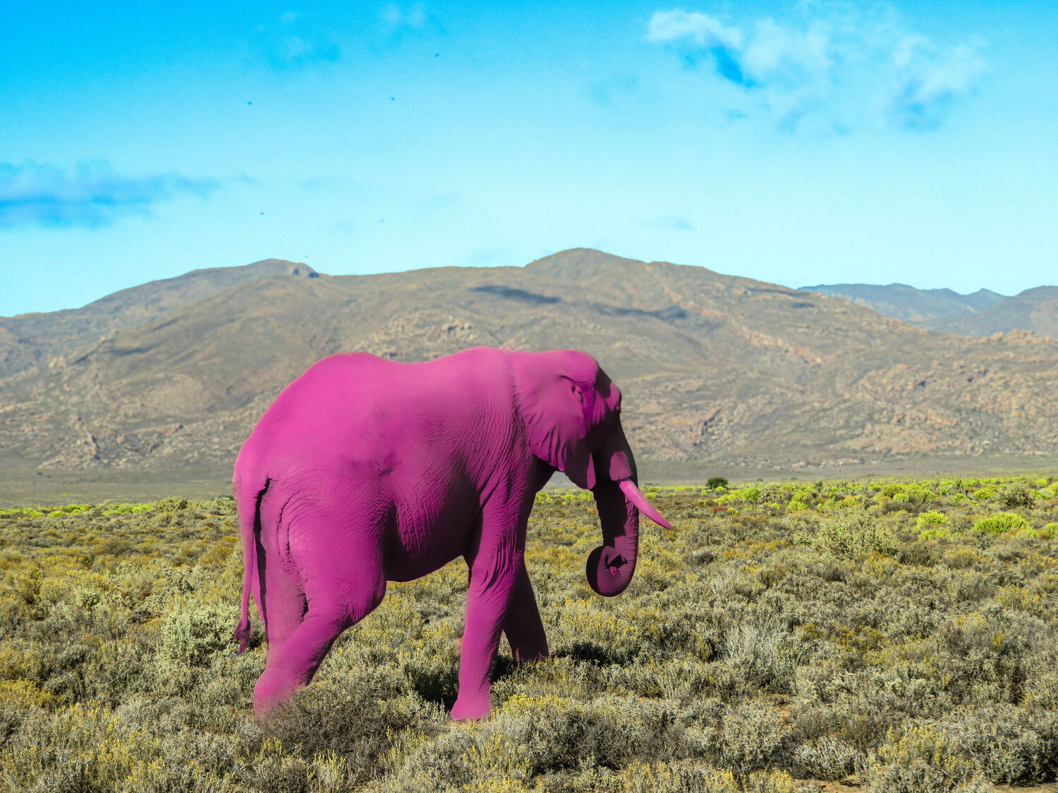 Blending in Perfectly by Lucas Biston Reichling (2015) : Photography ...