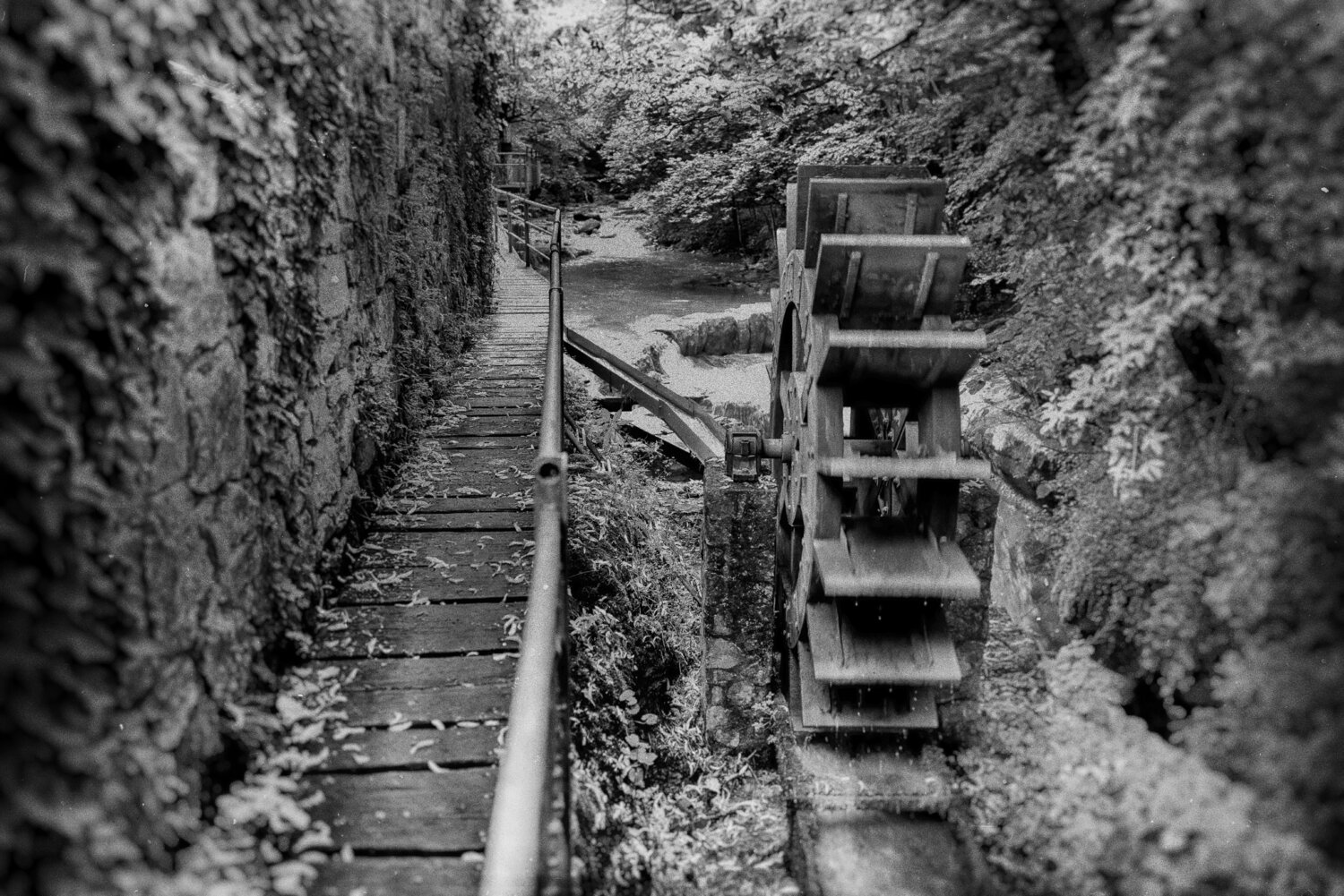 Mon moulin va trop fort , mon moulin va trop vite / New papers and fine ...