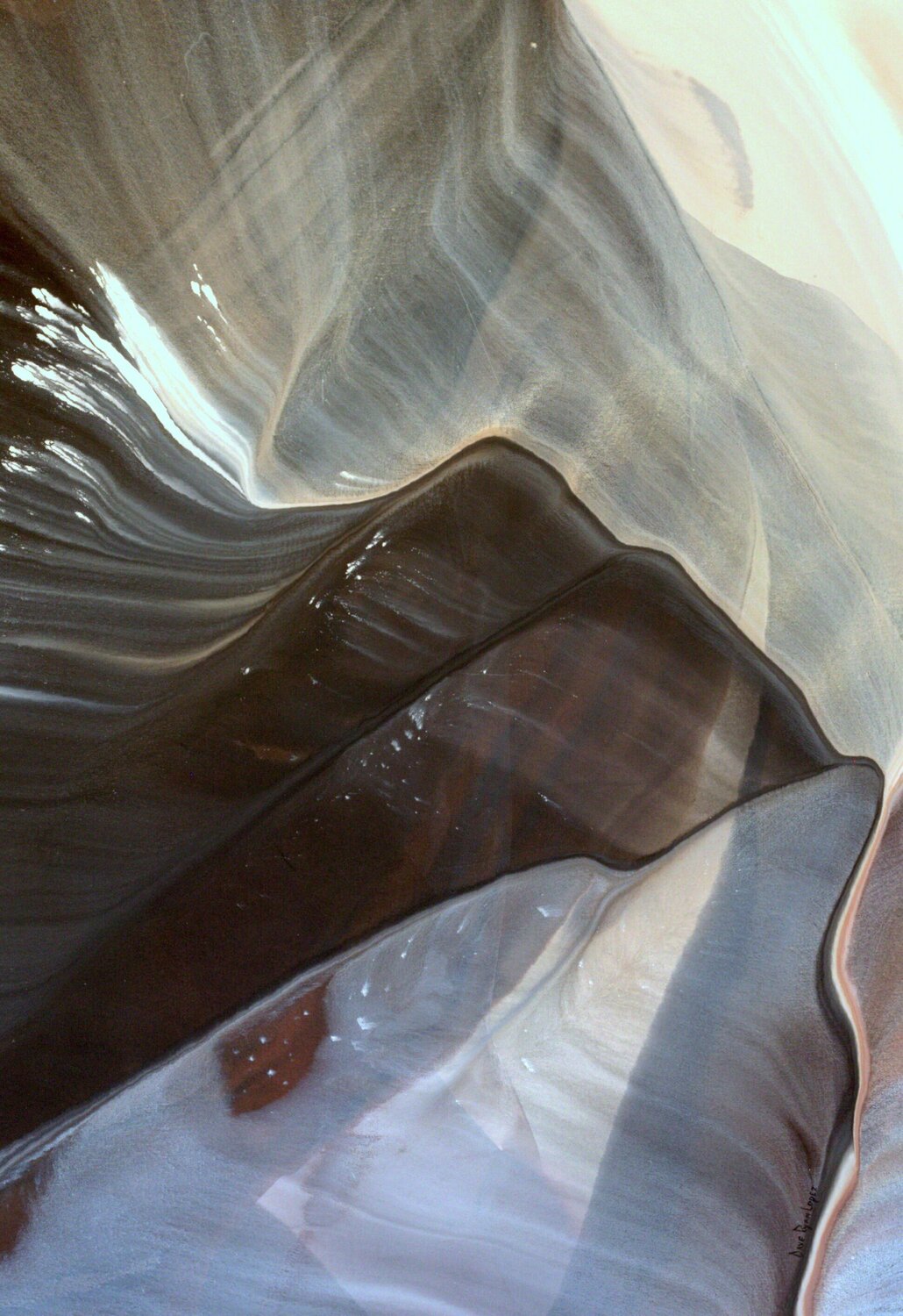 Wind Swept by David Ryan Lopez (2006) : Painting Acrylic - Singulart