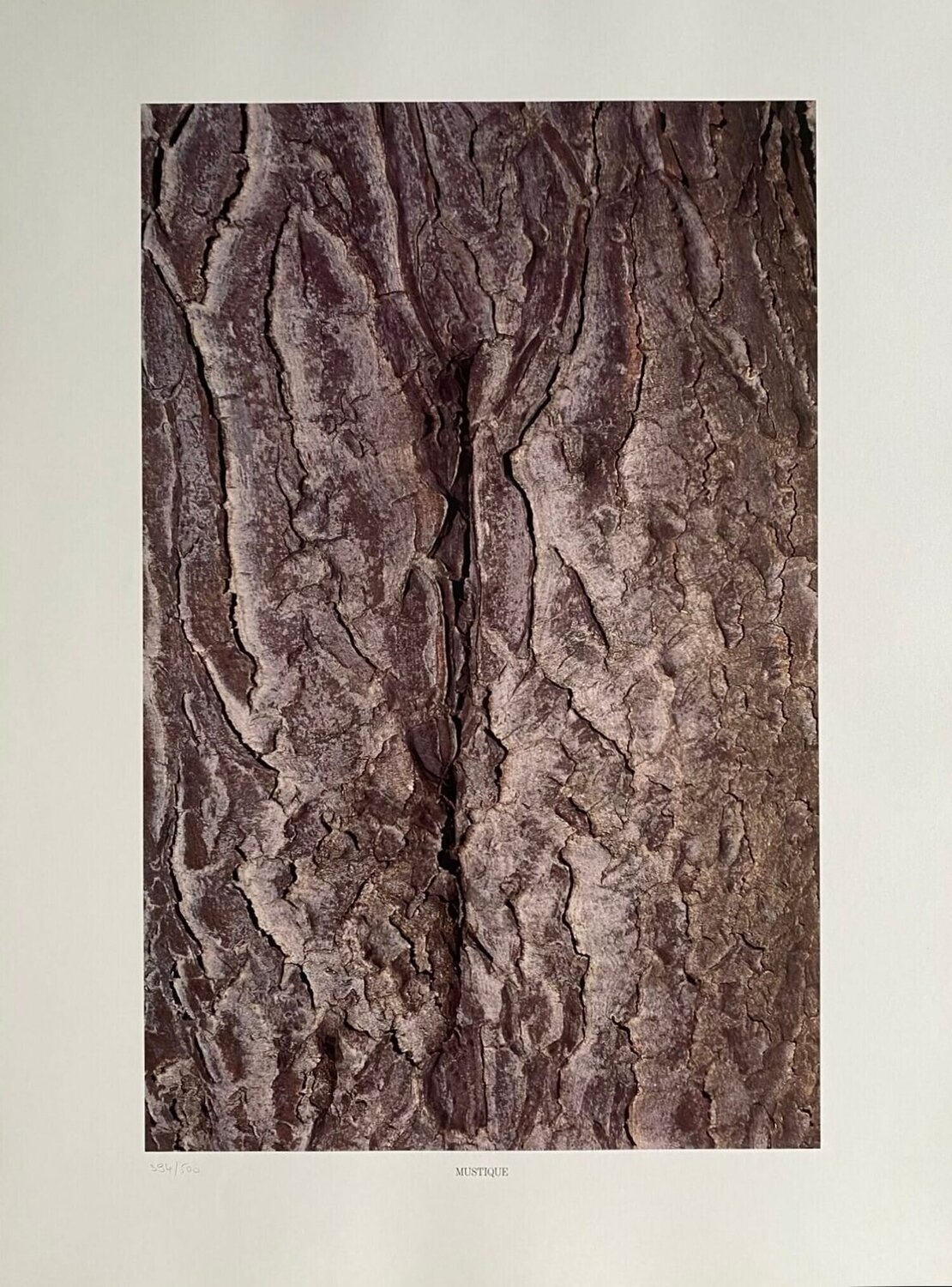 Mustique de Barry Lategan (1981): Fotografía Análogo - Singulart