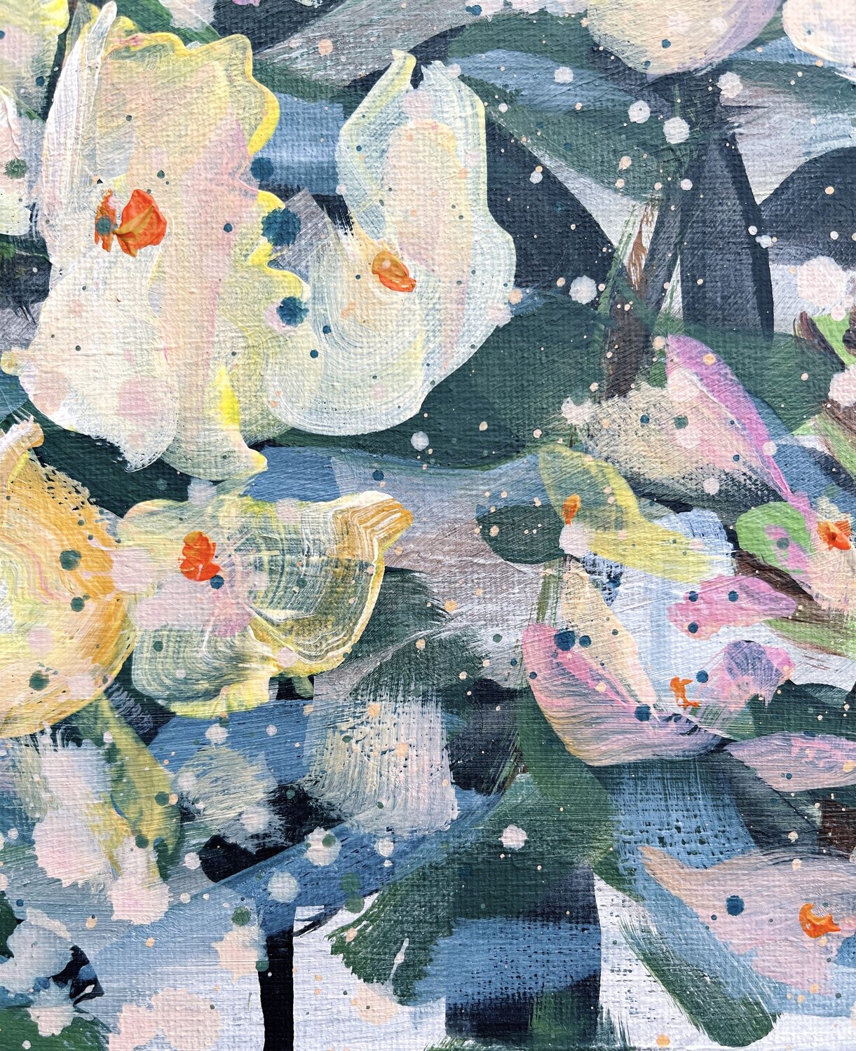 Capturing the Beauty of Life - Antirrhinum Apricot Snap in Black BY ...