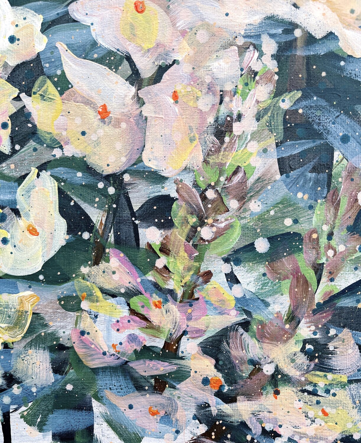 Capturing the Beauty of Life - Antirrhinum Apricot Snap in Black BY ...