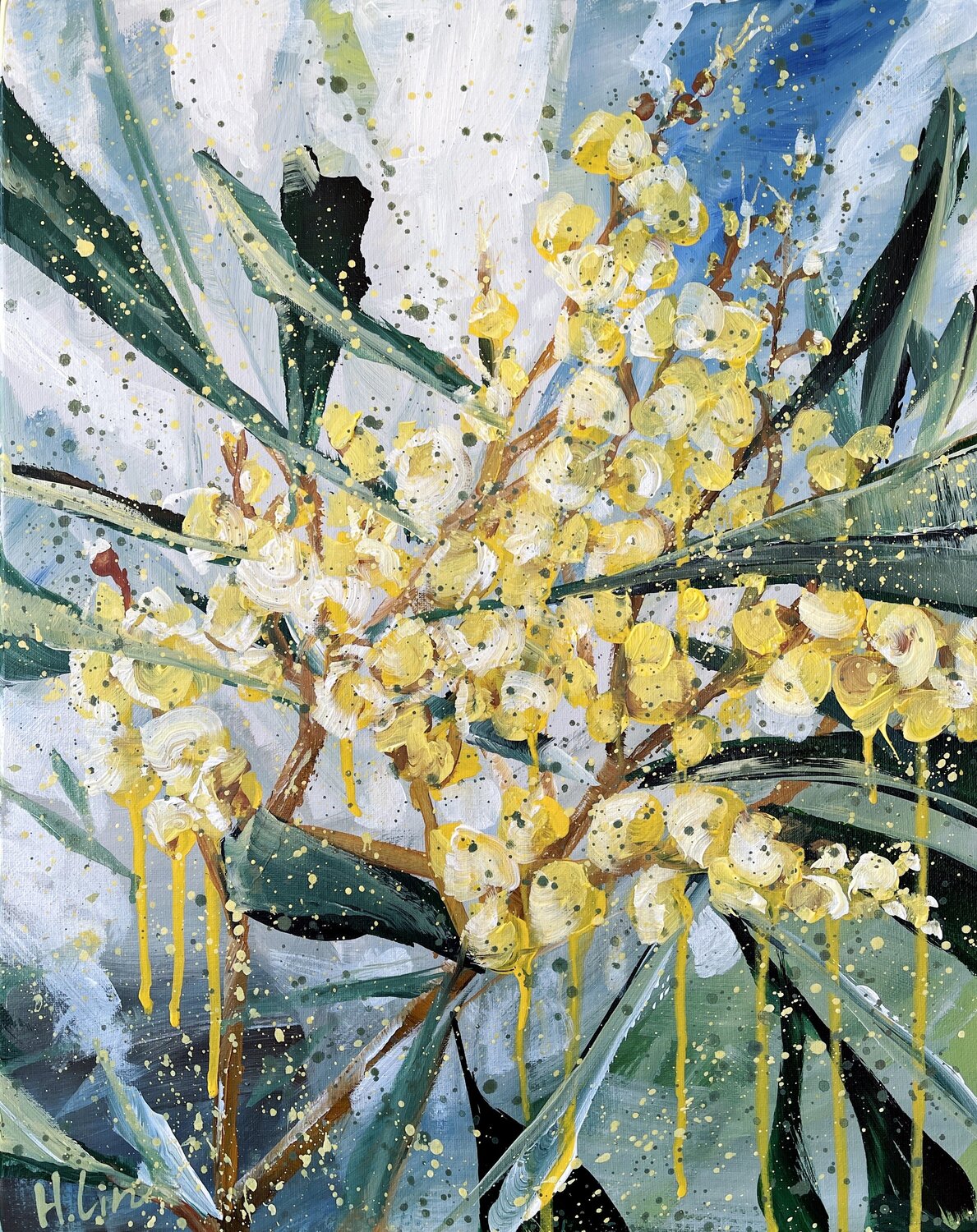 Sparkle and Shine - Golden Wattle (Acacia Pycnantha) BY HSIN LIN by Lin ...