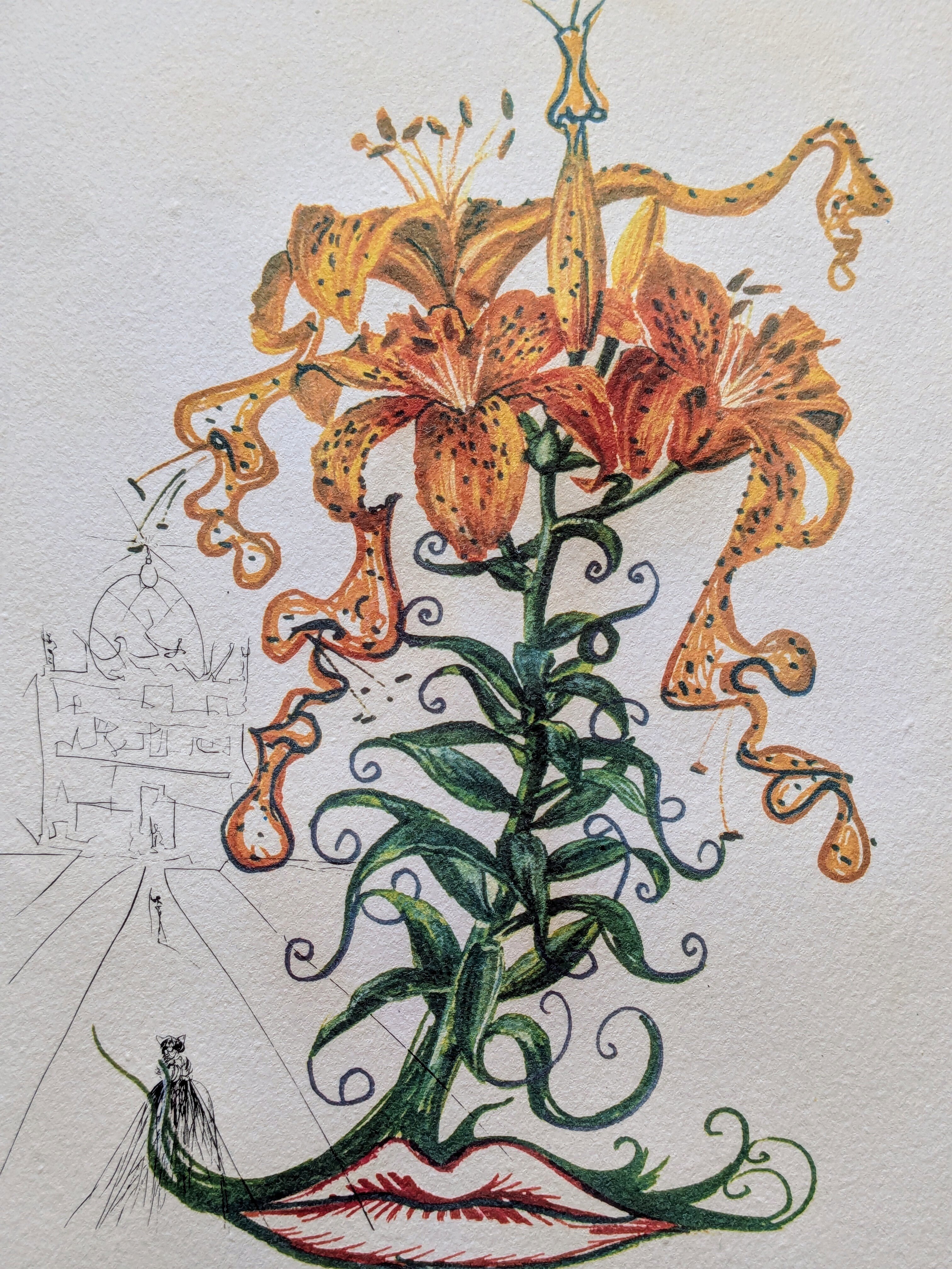 Hand-Signed Original Etching, … by Salvador Dalí – SINGULART