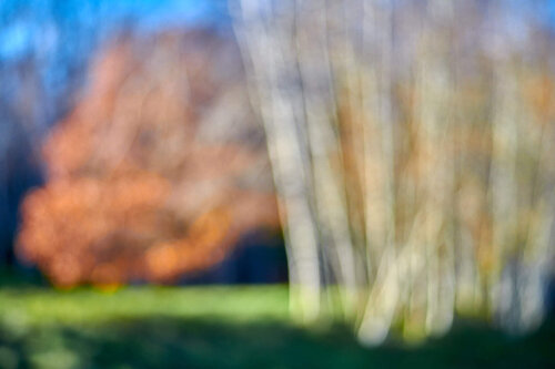 Wake Up by David Arky (2020) : Photography Analogue - Singulart