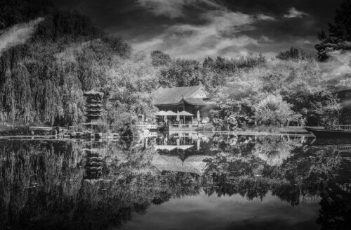 Chinese Garden in Berlin - Gaerten der welt. Black & white. by ihsan ...