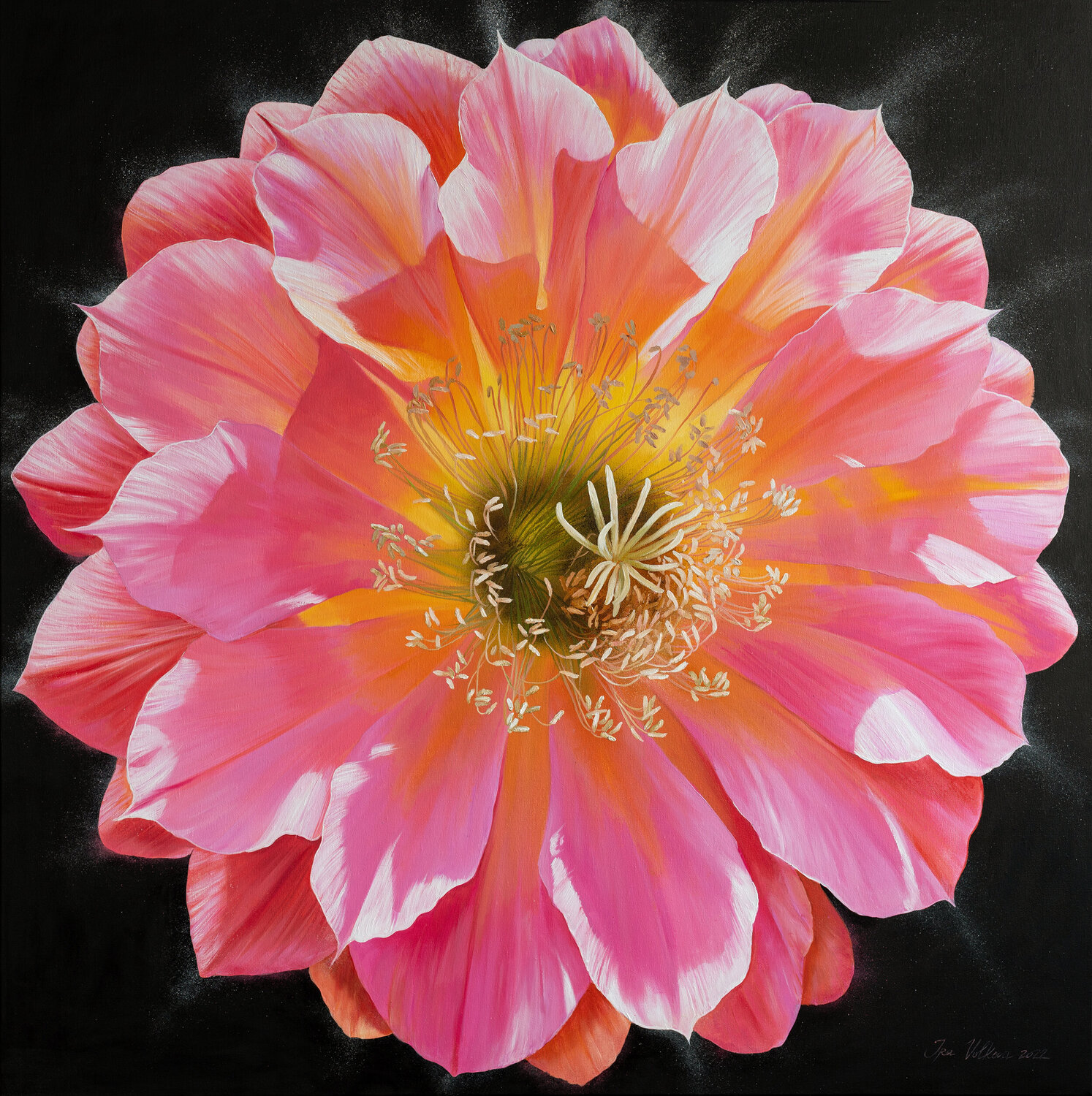 Echinopsis flower by Ira Volkova (2022) : Painting Oil on Canvas ...