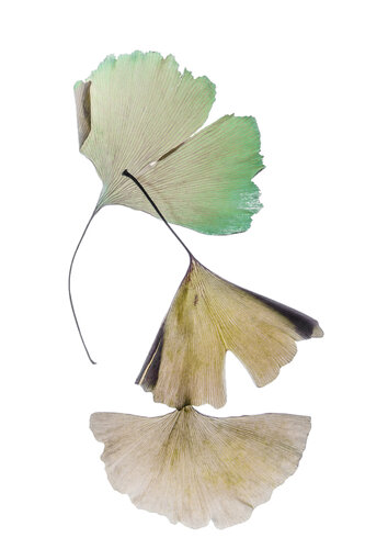 "Calligraphy", 67 de Yuri Brodsky (2016): Fotografía Digital en Papel ...