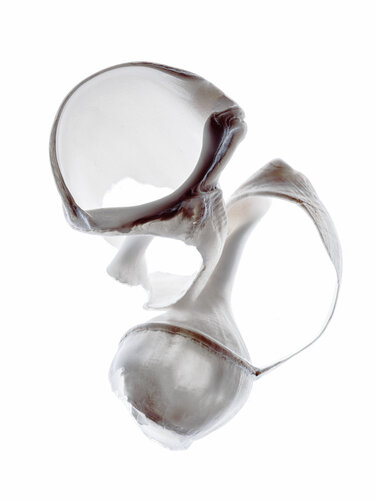 Calligraphy, 81 by Yuri Brodsky (2023) : Photography Digital on Paper ...