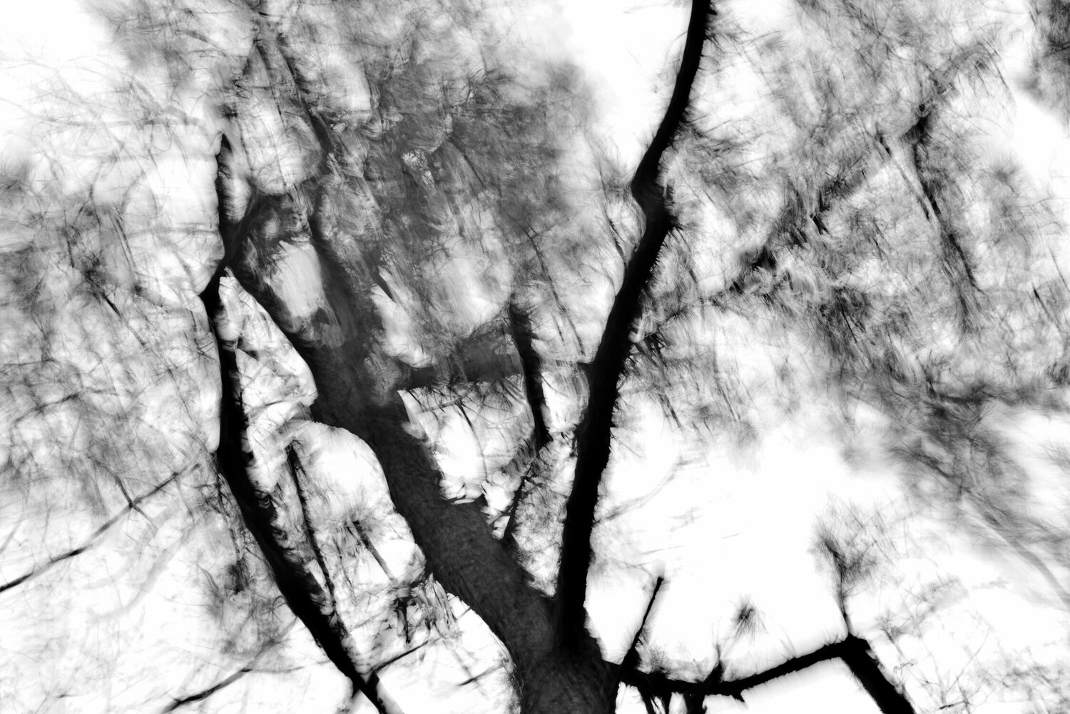 Dynamic Stillness von Eunman Huh (2018): Fotografie Digital auf ...