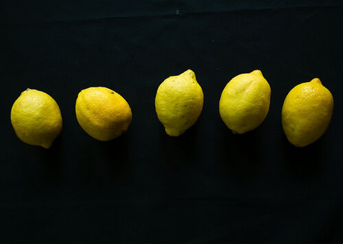 Five Lemons (Bright, Still Life, Fruit, Nature) by Laura Lloyd (2024 ...
